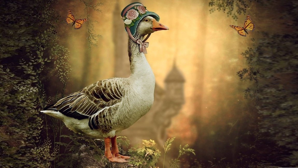 RNCM Young Explorers – Mother Goose – Out and about mummy